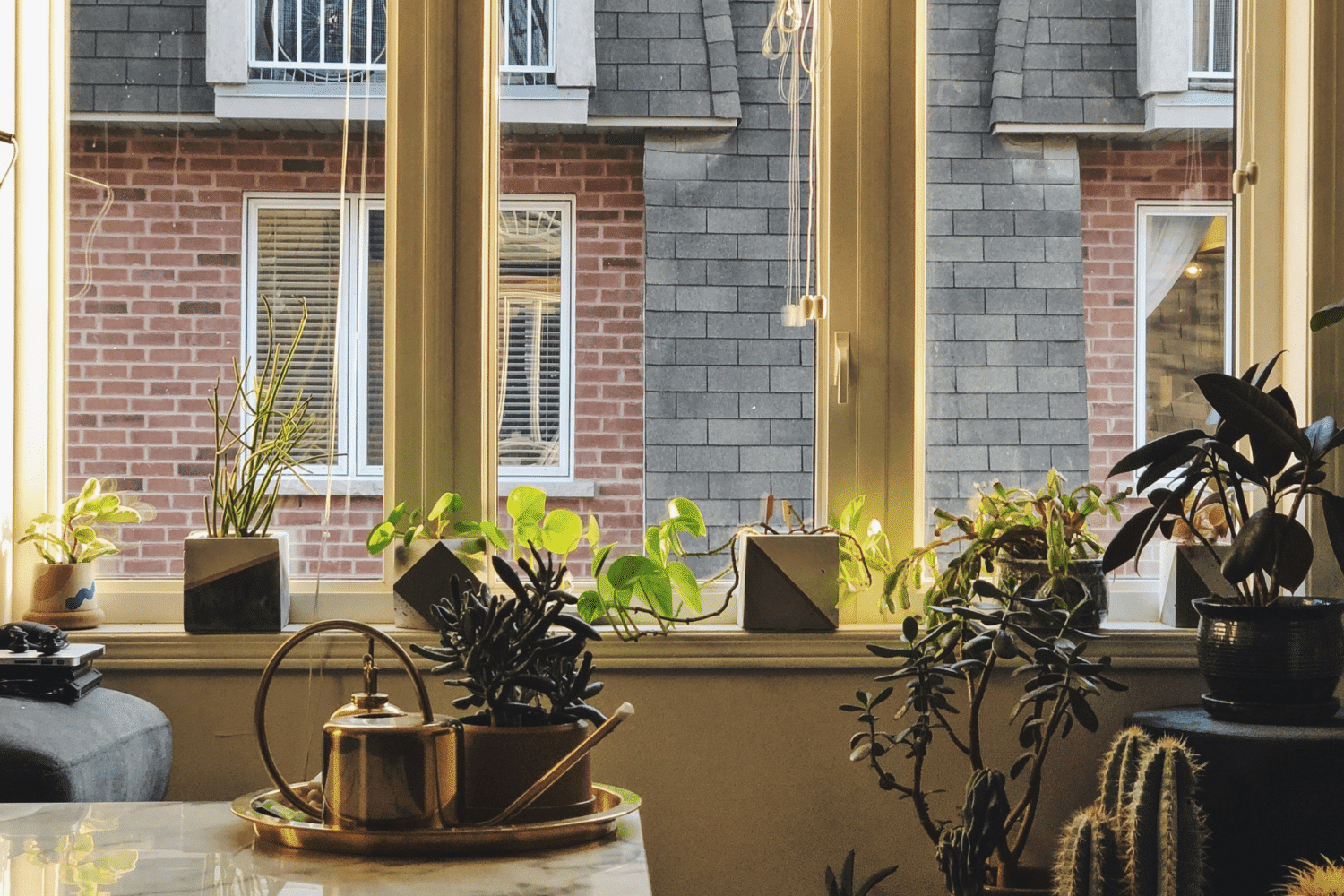 Beautiful ways to take care of the planet - Ch 2 : (Indoor) Air by ...