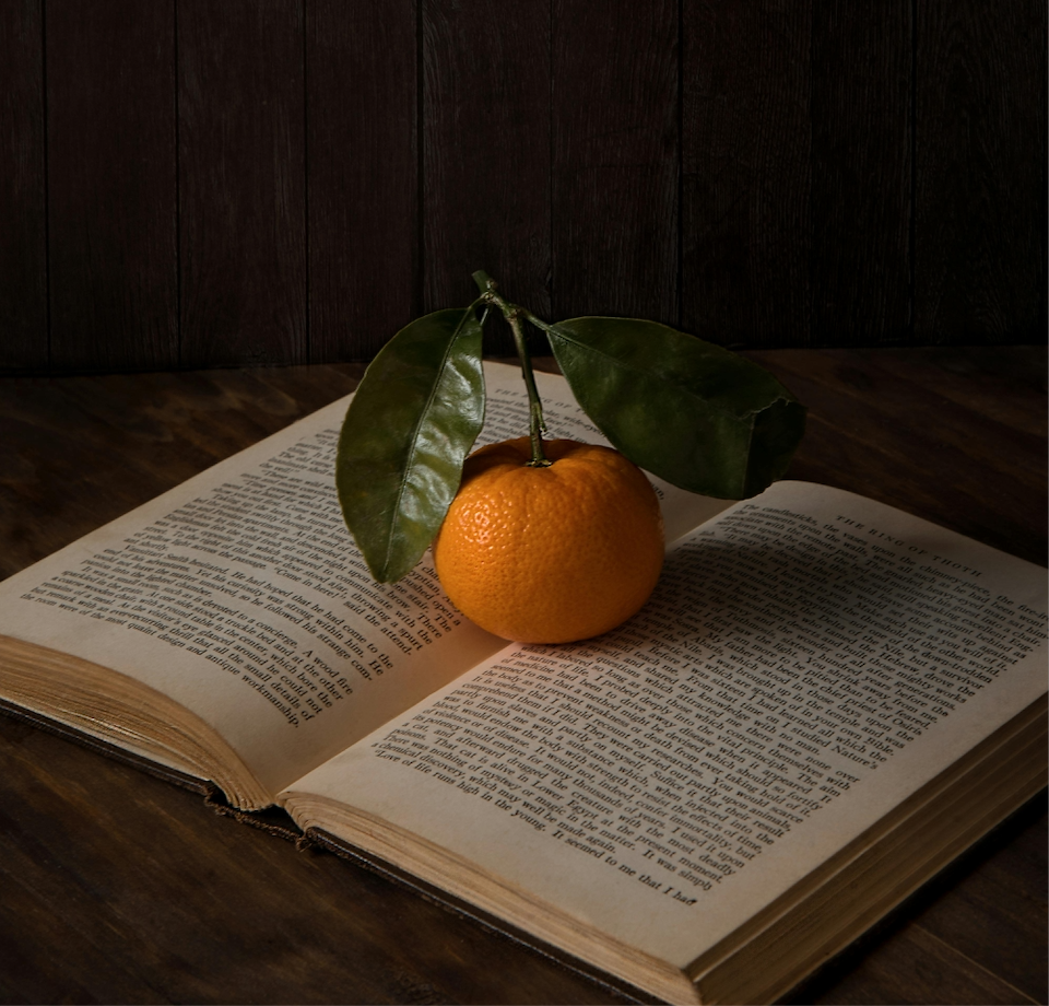 Les 5 romans à emporter dans sa valise pour les vacances d’hiver ...